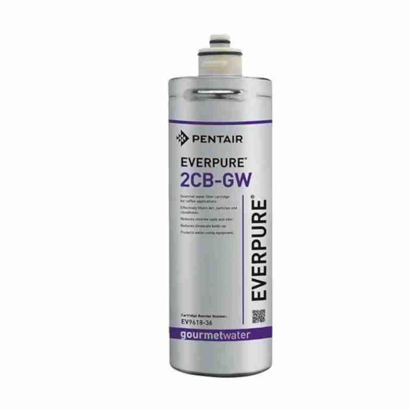 Everpure 2CB-GW water filter | Everpure 2CB-GW filter